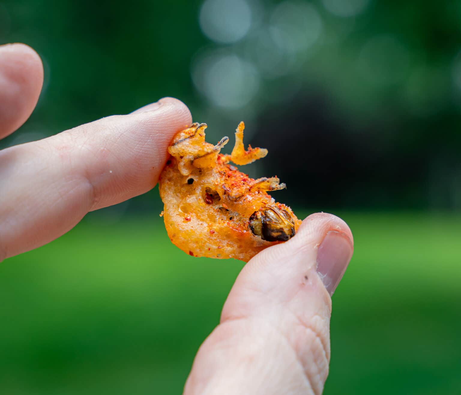Tempura Cicada Recipe with Sriracha Aioli - Grilling 24x7